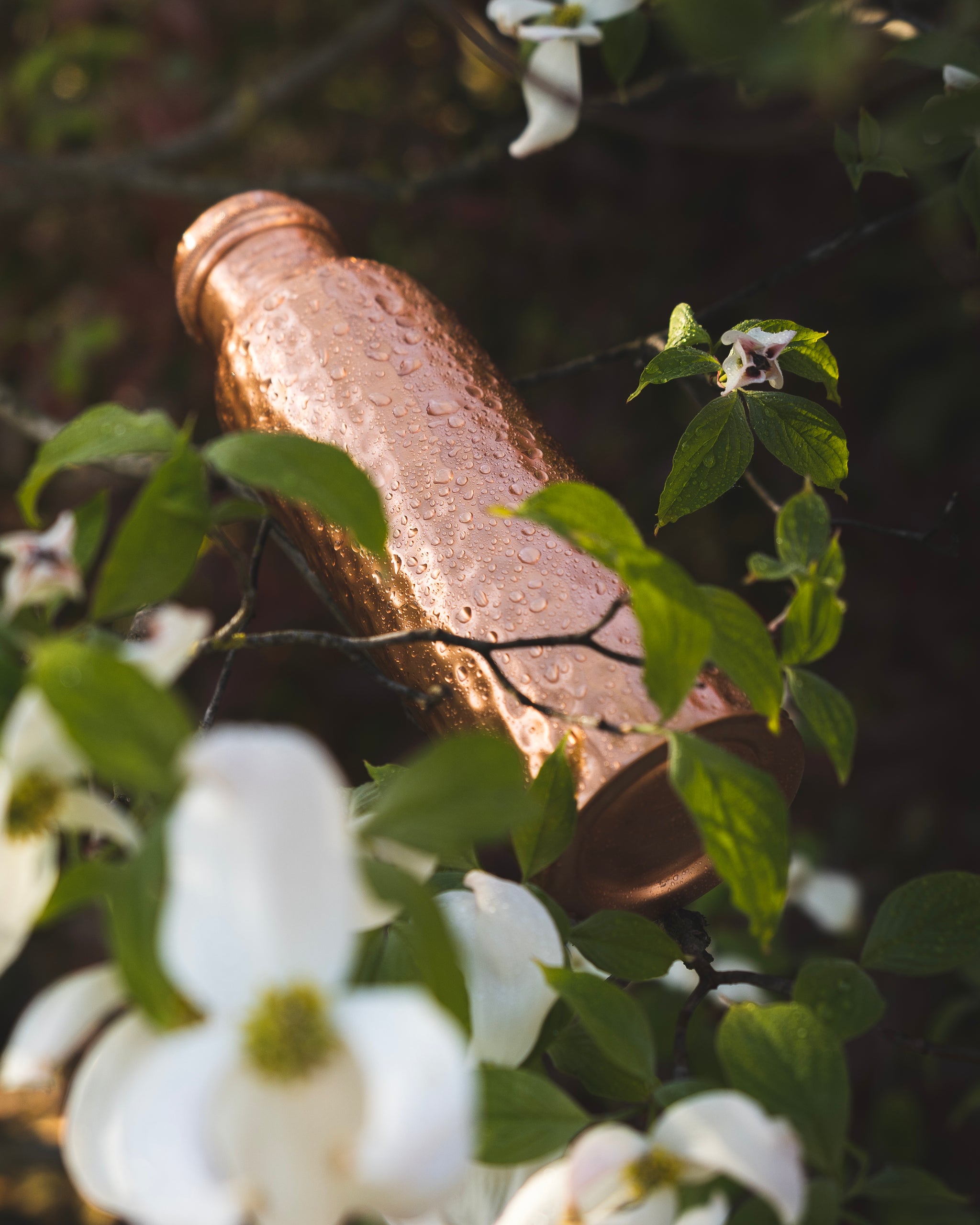 The Highest Quality Copper Water Bottles and Vessels – Kosdeg Online